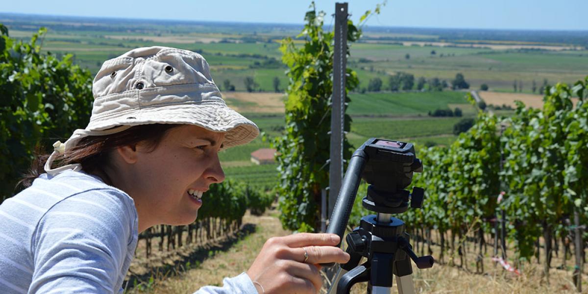 Gelybó Györgyi - Környezettudományi Intézet - MATE
